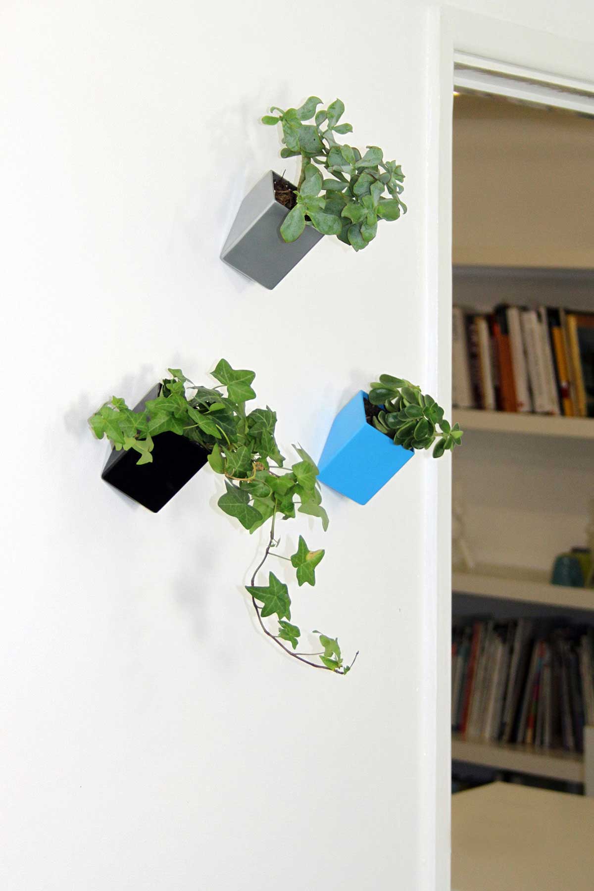 Cache-pot mural : 21 supports pour plantes d'intérieur