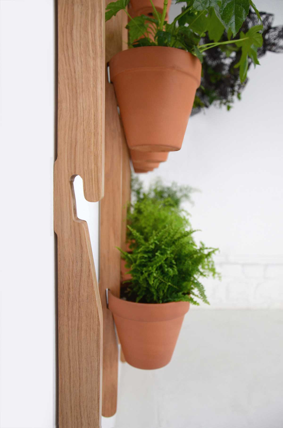 Cache-pot mural : 21 supports pour plantes d'intérieur