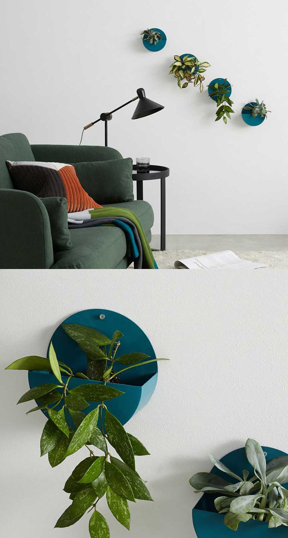 Cache-pot mural : 21 supports pour plantes d'intérieur